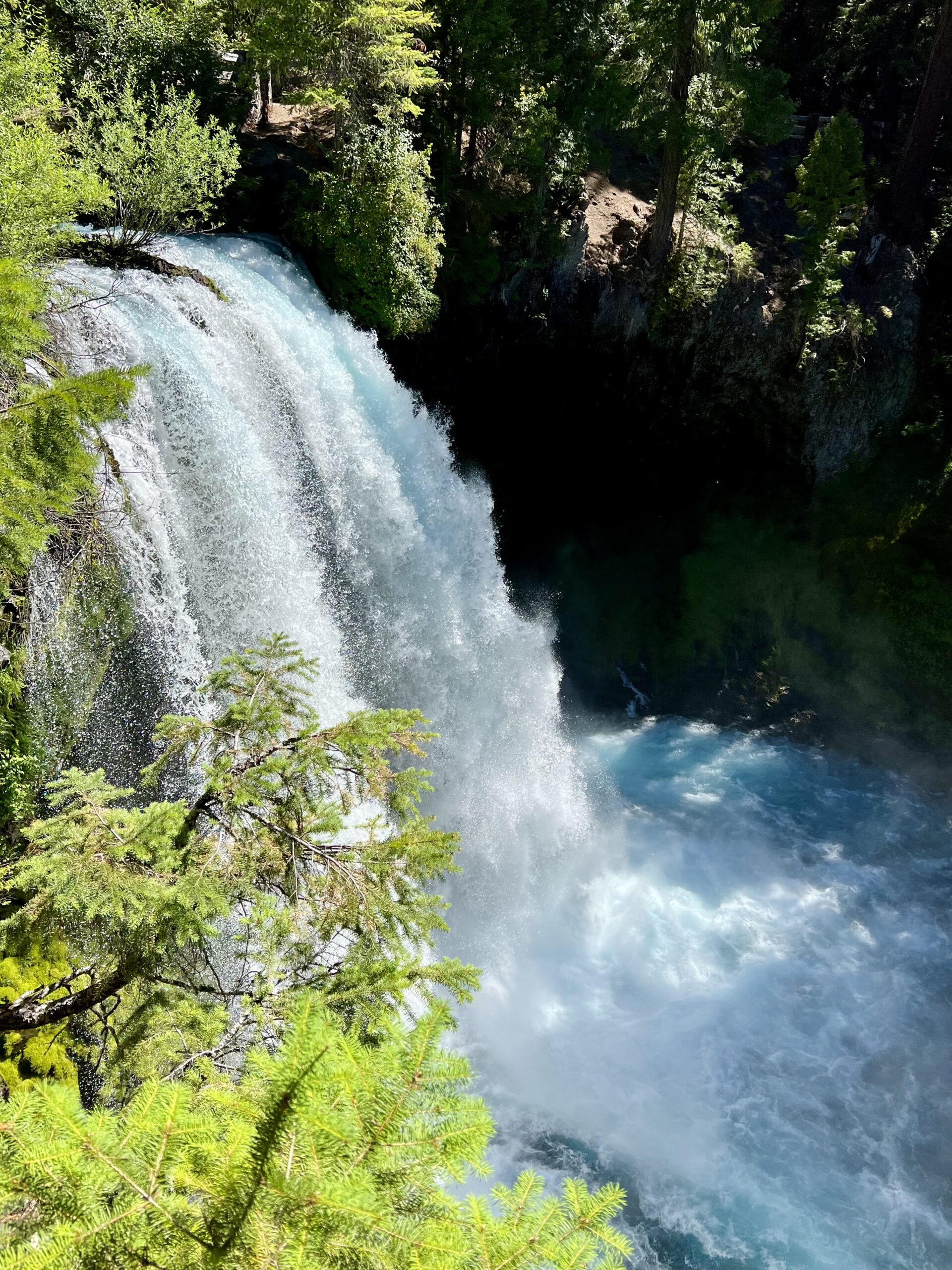Guided Hike Featuring Three of Oregon's Most Picturesque Waterfalls.